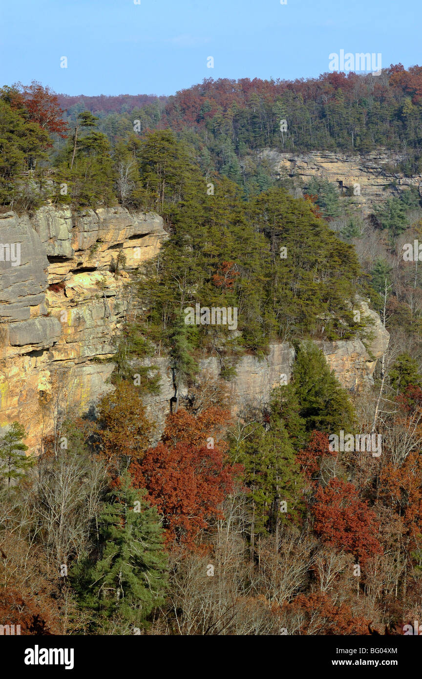 Sandstone cliffs in the Red River Gorge Geological Area of eastern ...