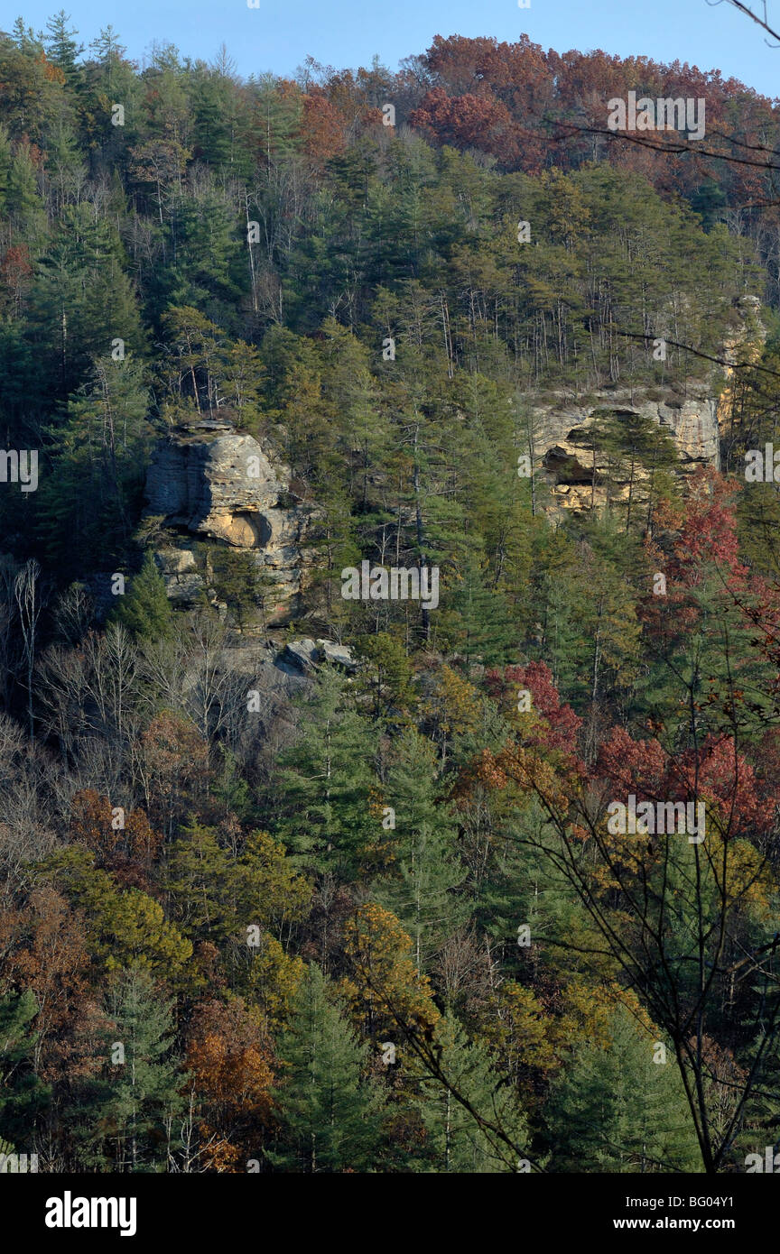 Sandstone cliffs in the Clifty Wilderness of the Red River Gorge ...