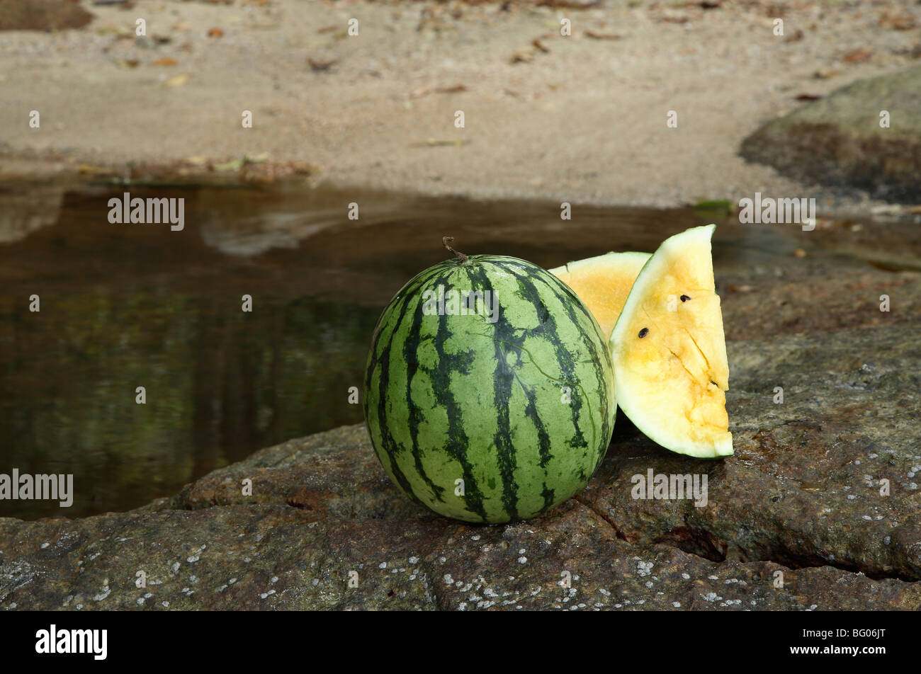 Tropical Fruits - Watermelon Stock Photo - Alamy