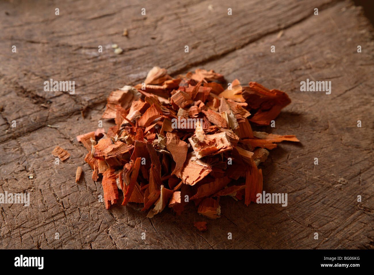 Ceasalpinia Sappan (Tropical Redwood), noted for purifying the blood ...