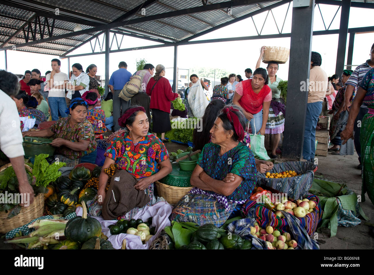 Foto Del Mercado Guatemalteco Tikal Meat Market ! 501 Hartford Ave,
