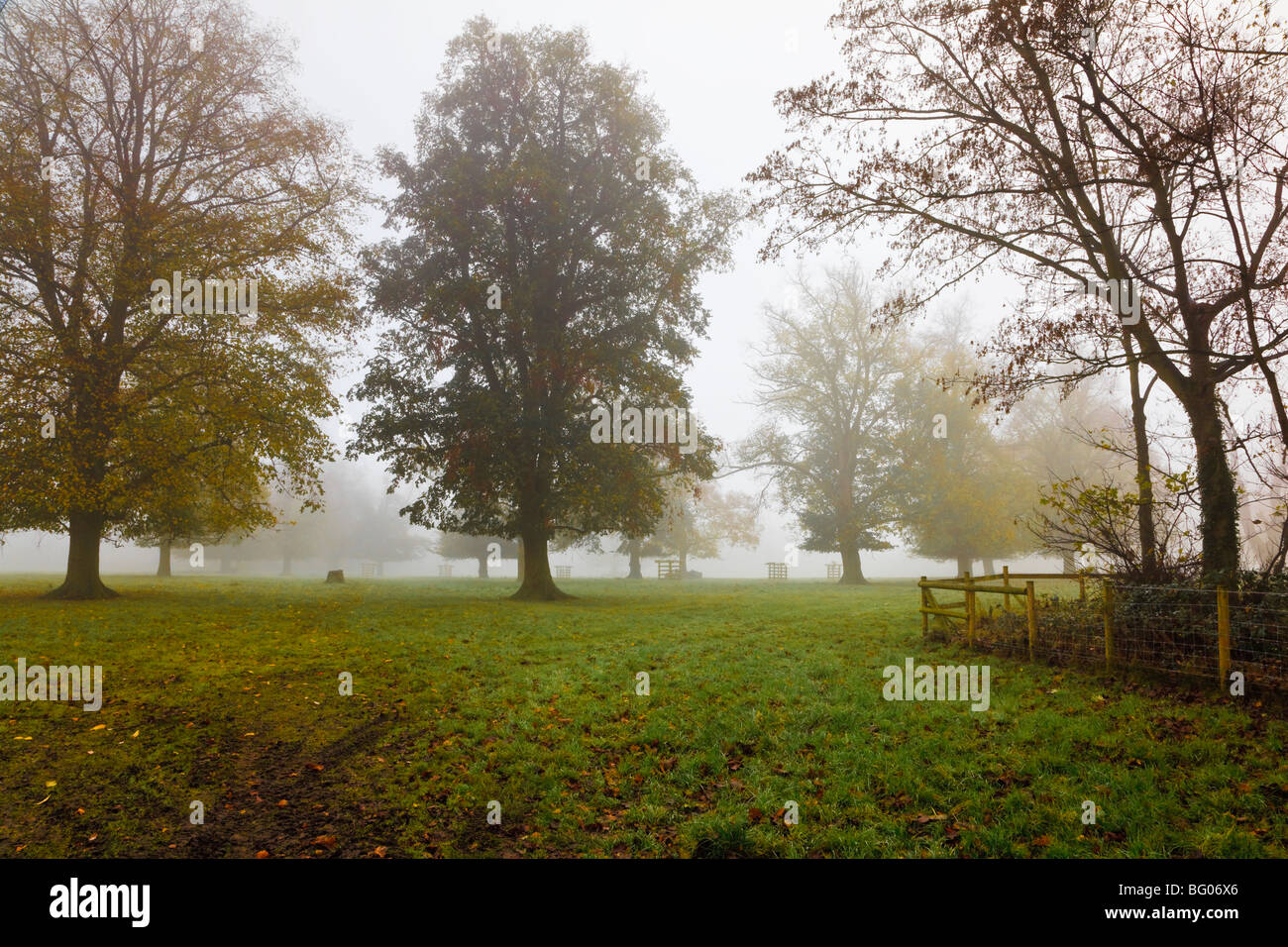 Shenton hi-res stock photography and images - Alamy