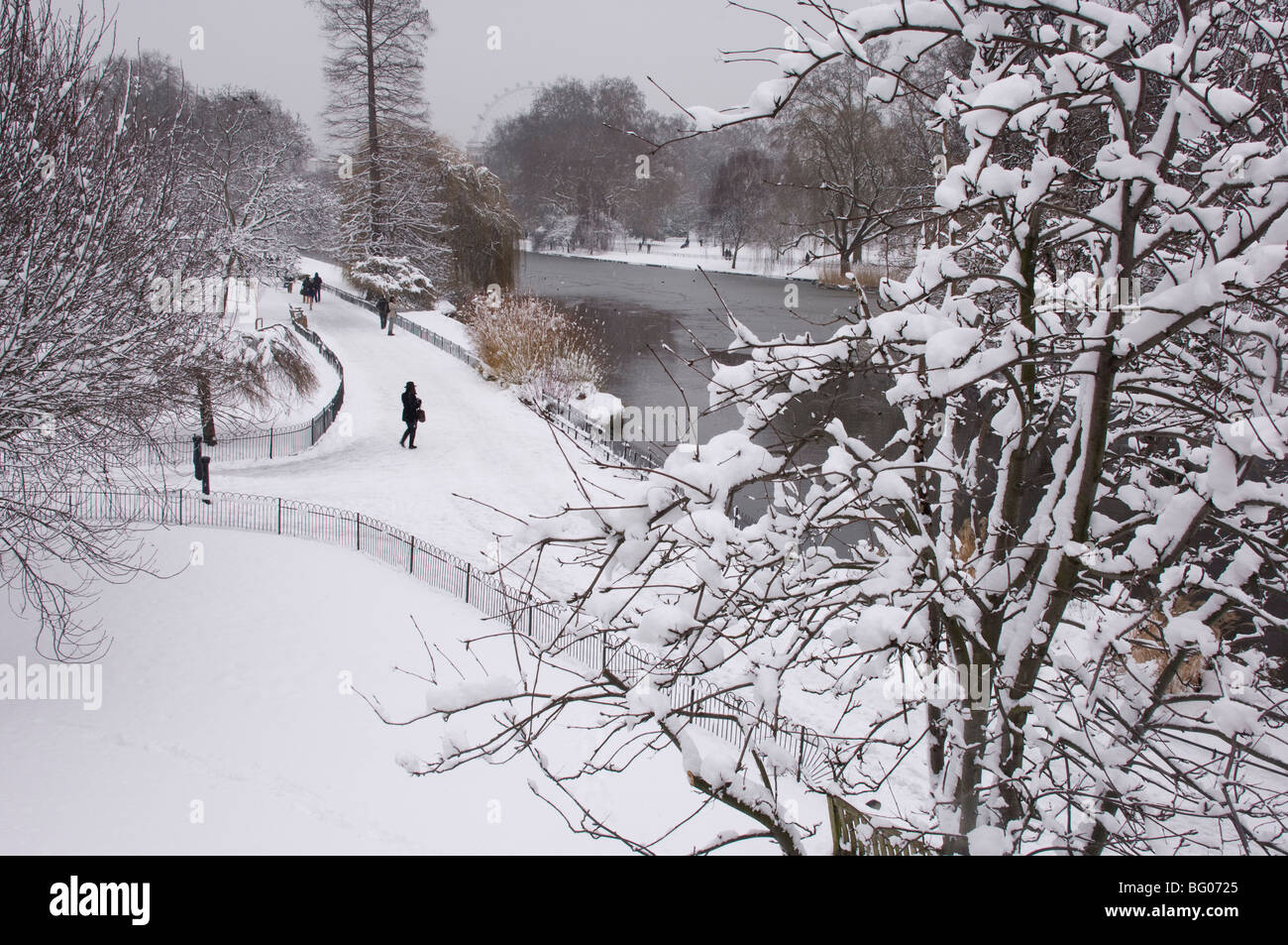 Snow covered trees during a snow storm in St. James's Park, London ...