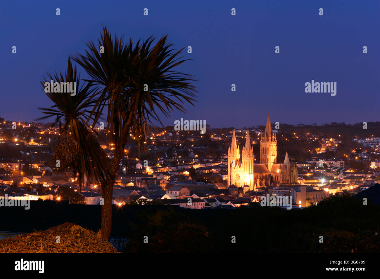 Truro Cathedral, Palm Tree, Dusk, Cornwall, England Stock Photo - Alamy