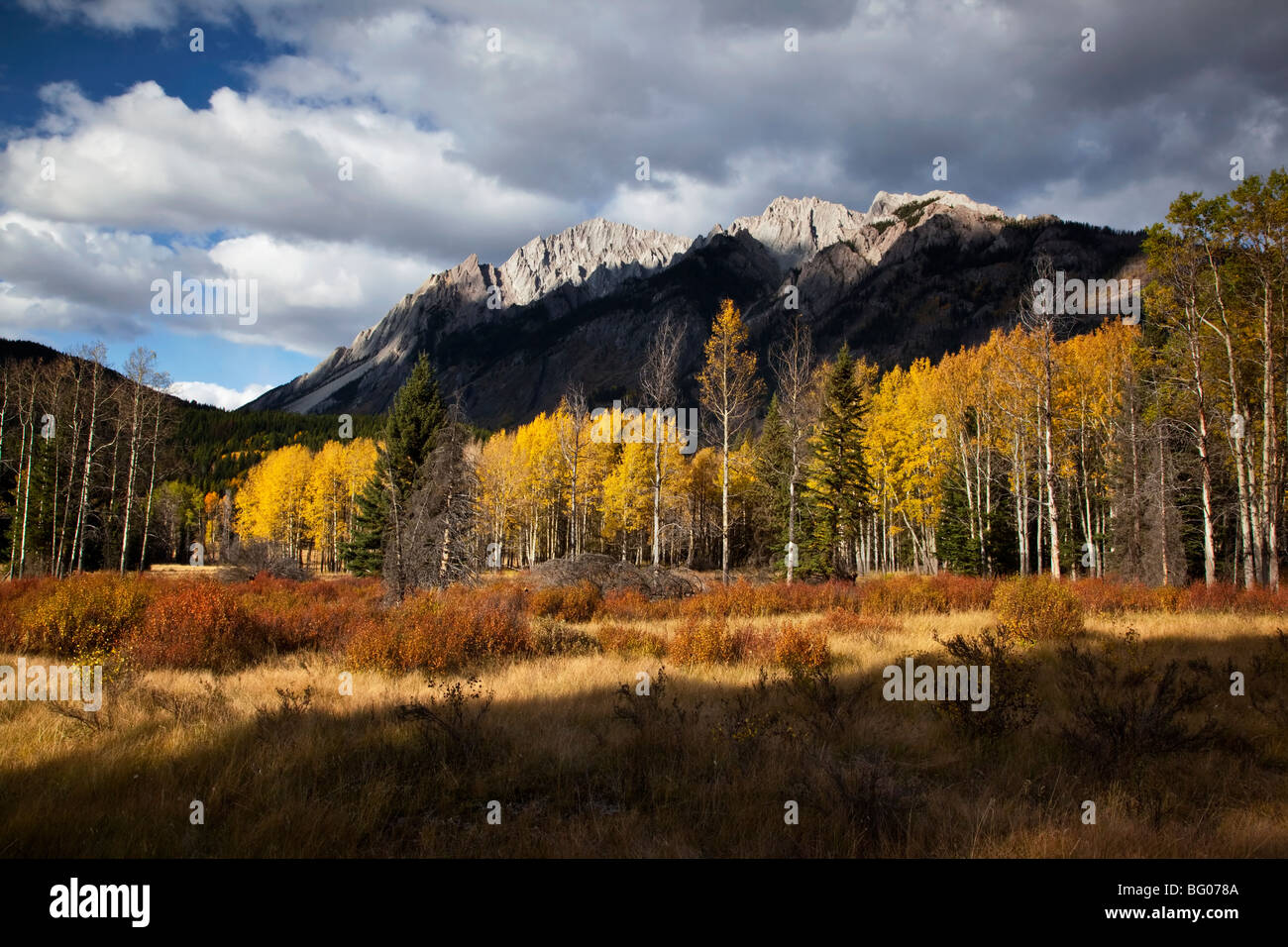 Fall meadows hi-res stock photography and images - Alamy