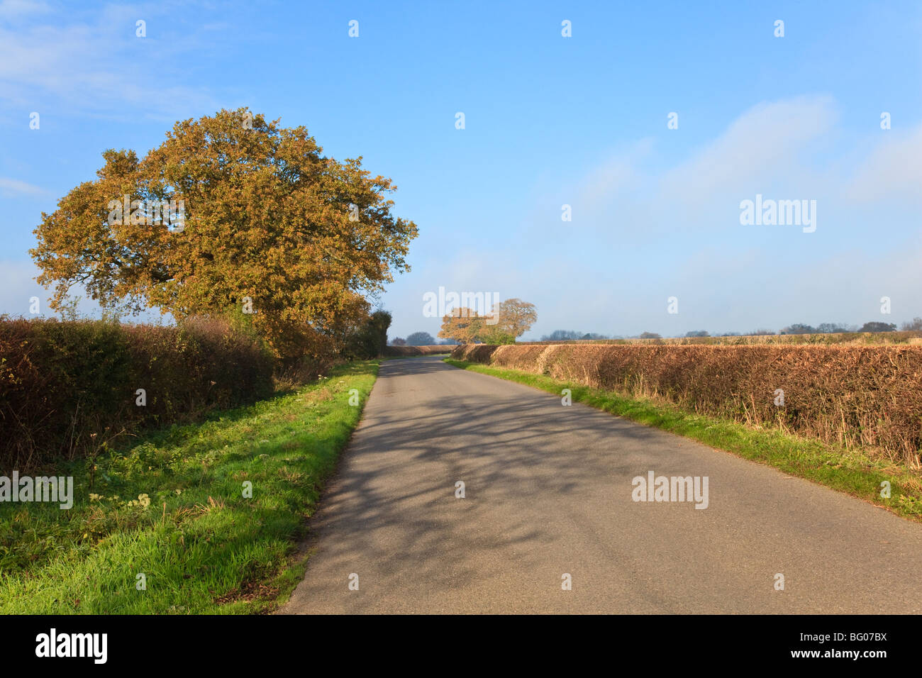 Hedge clearing autumn hi-res stock photography and images - Alamy