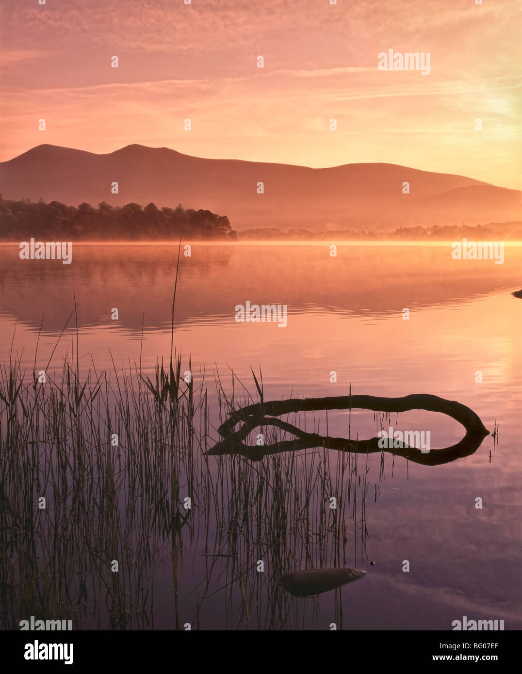 Mist rising on Derwent Water at dawn, Lake District National Park ...