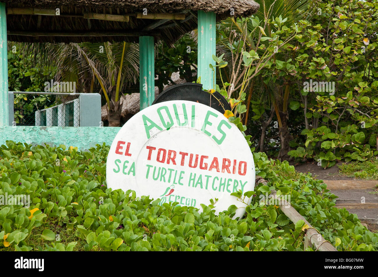 Turtle Conservation Center. Monterrico Nature Reserve, Reserva Natural ...