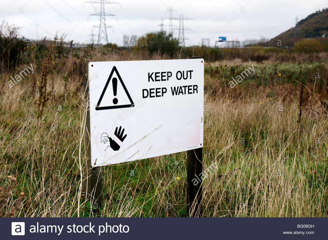 Marsh Weeds High Resolution Stock Photography and Images - Alamy