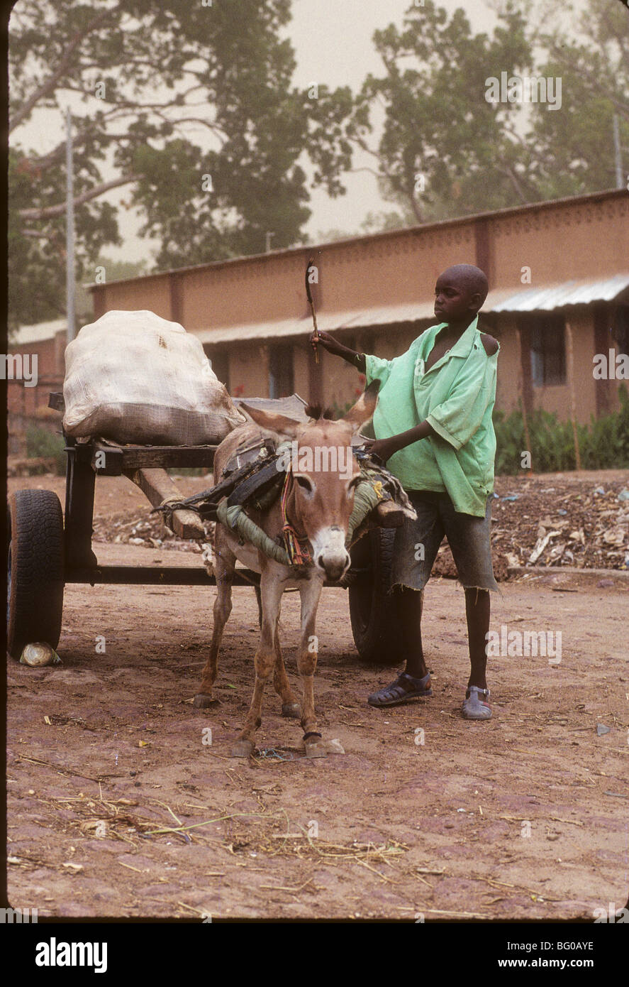 A boy with a donkey pulling cart with melons durning a sandstorm, Segou ...