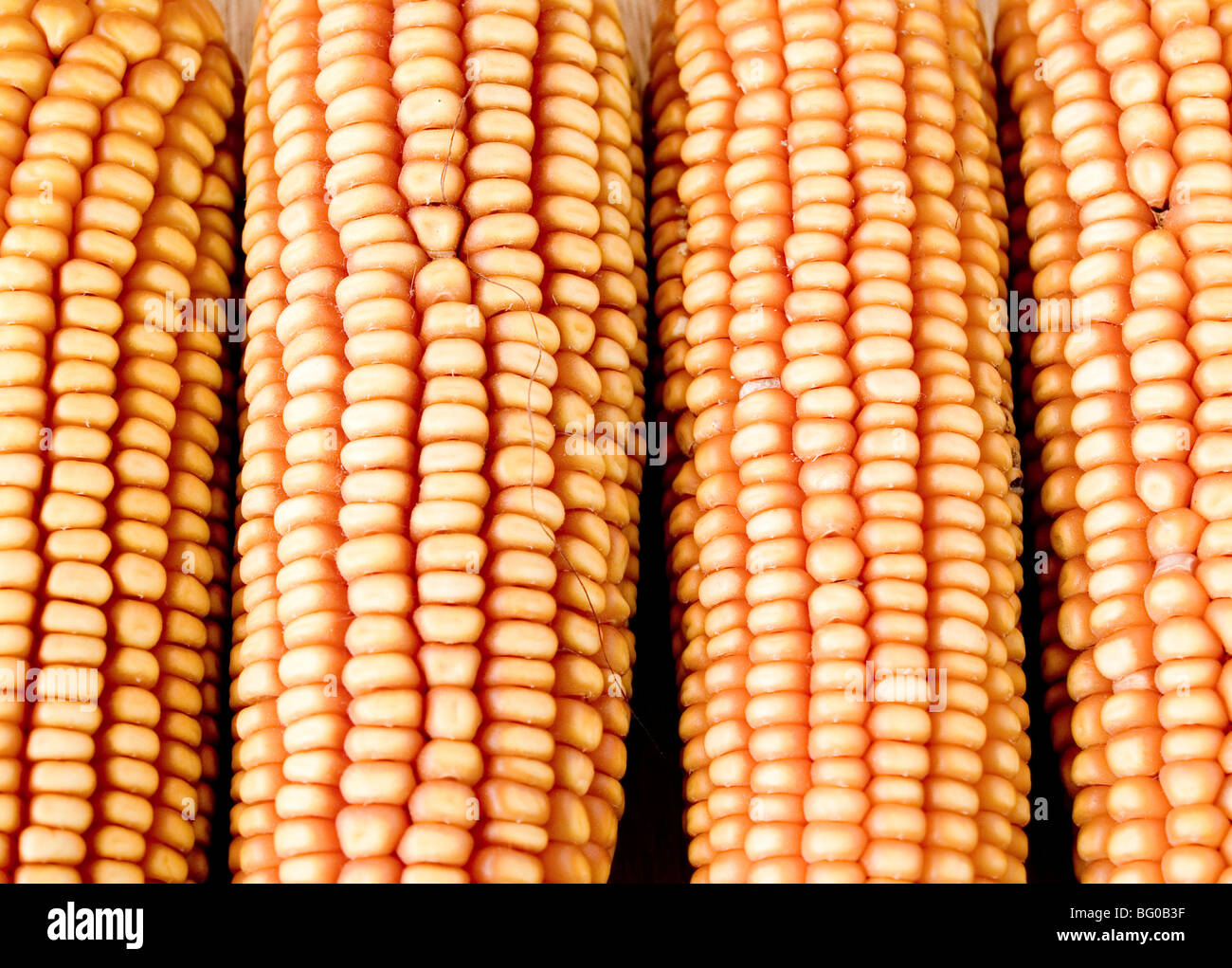 corn macro background Stock Photo - Alamy