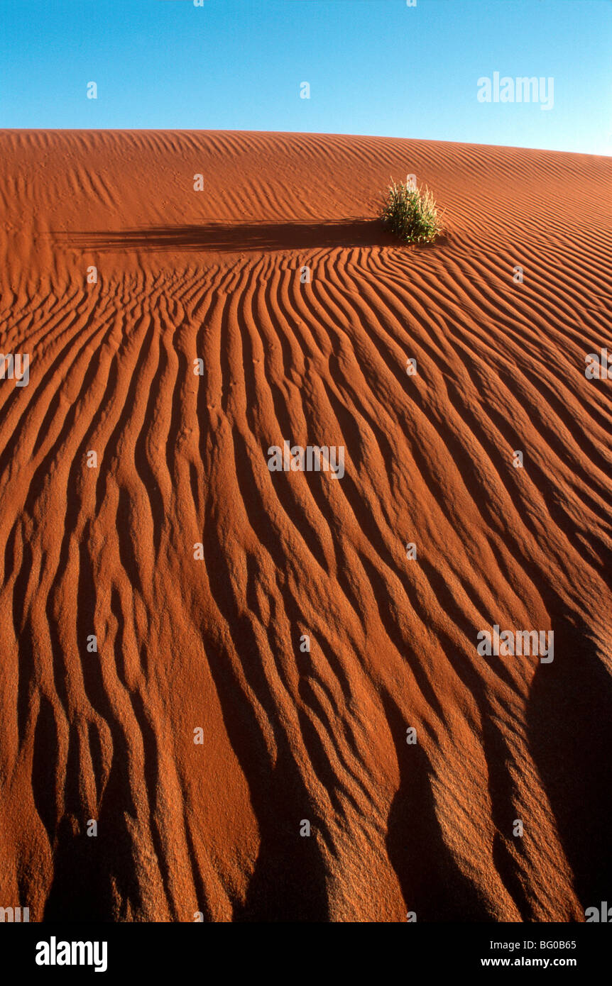 Contrasting contrasts deserts dry dune emptiness empty sunbaked hi-res ...