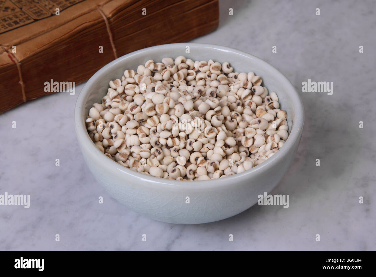 Job's Tears, used in traditional Chinese medicine for painful joints ...