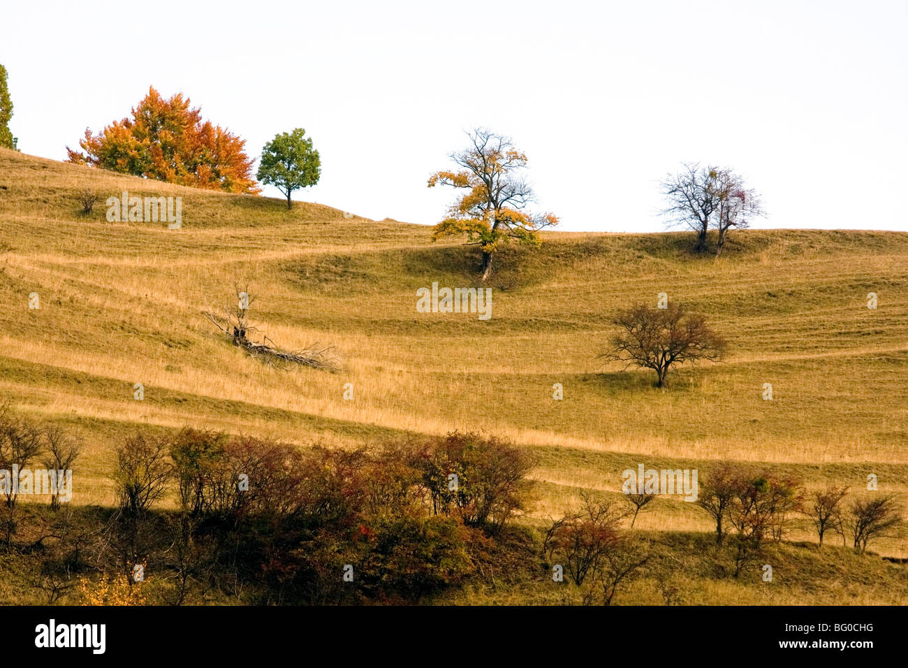 Romania, Transylvania, rural landscape Stock Photo - Alamy