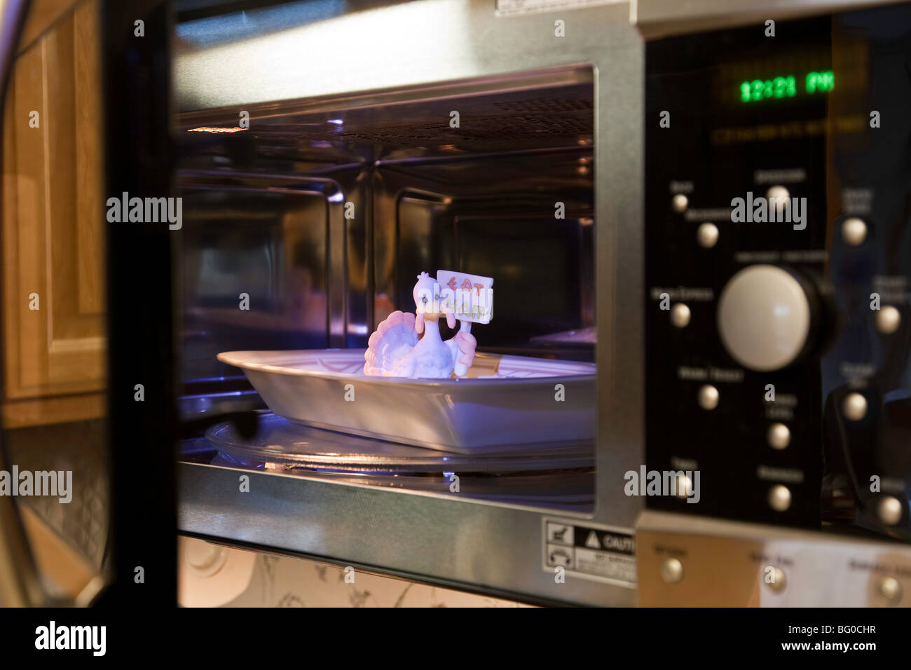 Microwave funny hi-res stock photography and images - Alamy