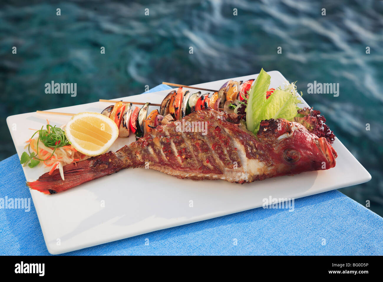 Maldives fishes fish hi-res stock photography and images - Alamy