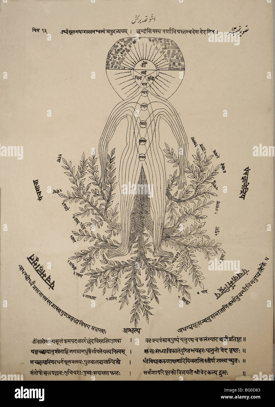 Meridians hi-res stock photography and images - Alamy