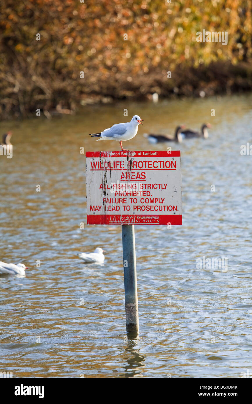 Fall protection sign hi-res stock photography and images - Alamy