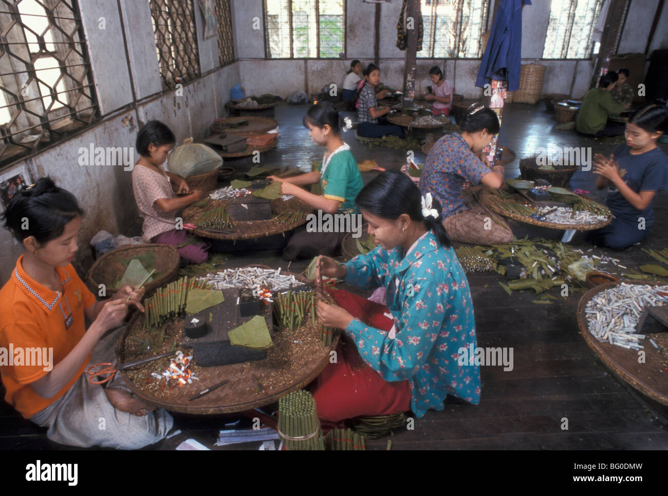 Cigar Factory in Pegu, Myanmar (Burma), Asia Stock Photo - Alamy