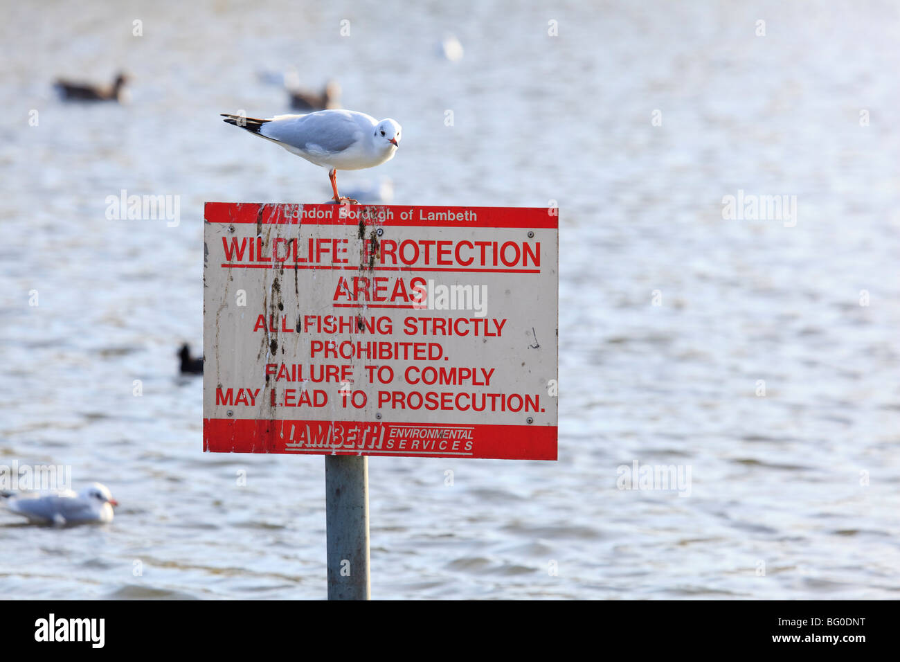 Prohibition protection hi-res stock photography and images - Alamy