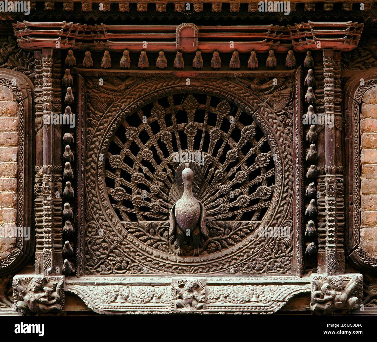 Window View Beautiful Peacock Peacock Window Nepal Hi Res Stock