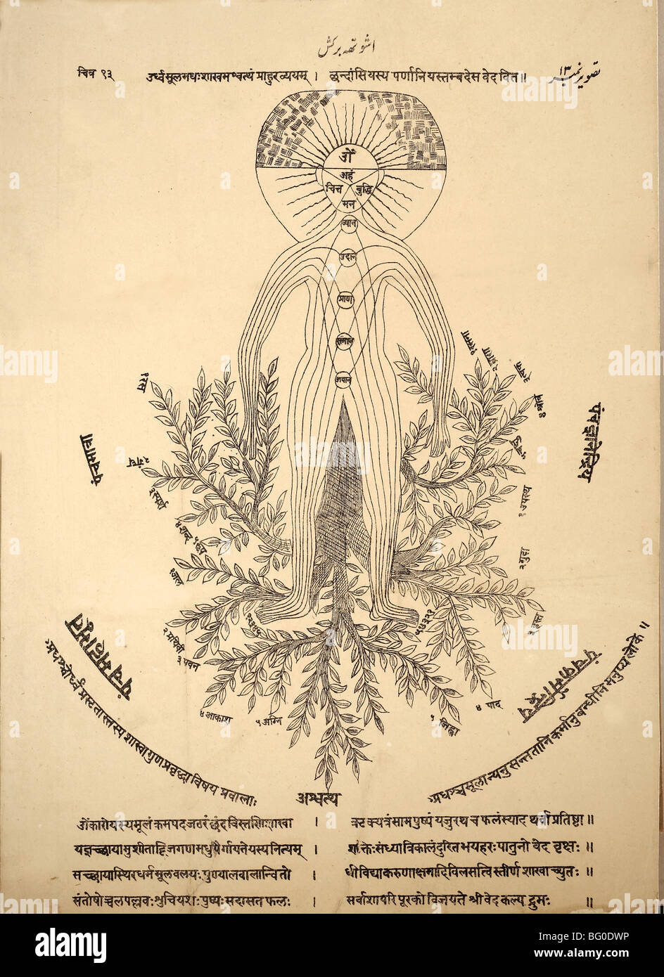 Meridians hi-res stock photography and images - Alamy