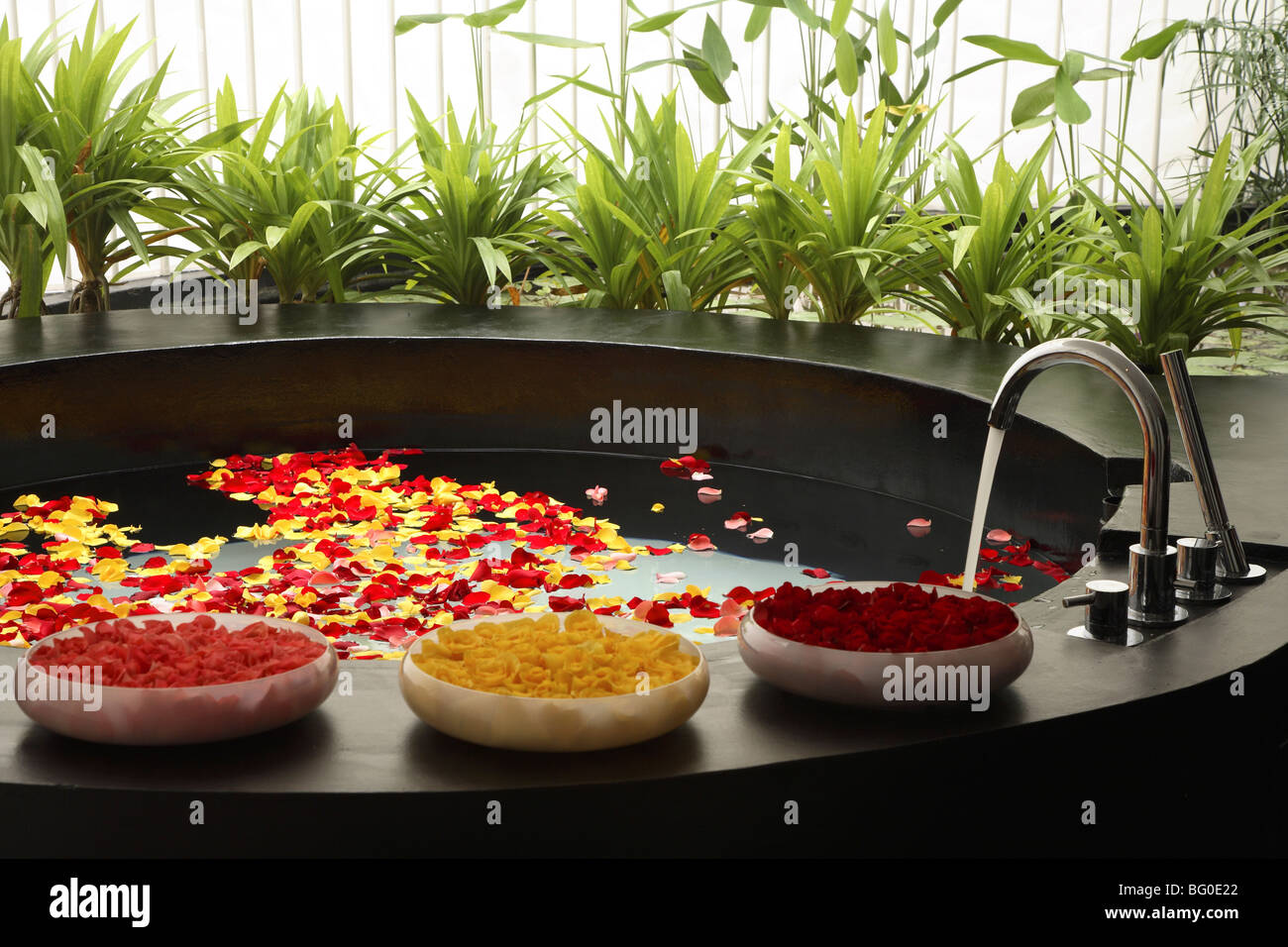Bath with flowers at Asmara Spa in Singapore, Southeast Asia, Asia ...