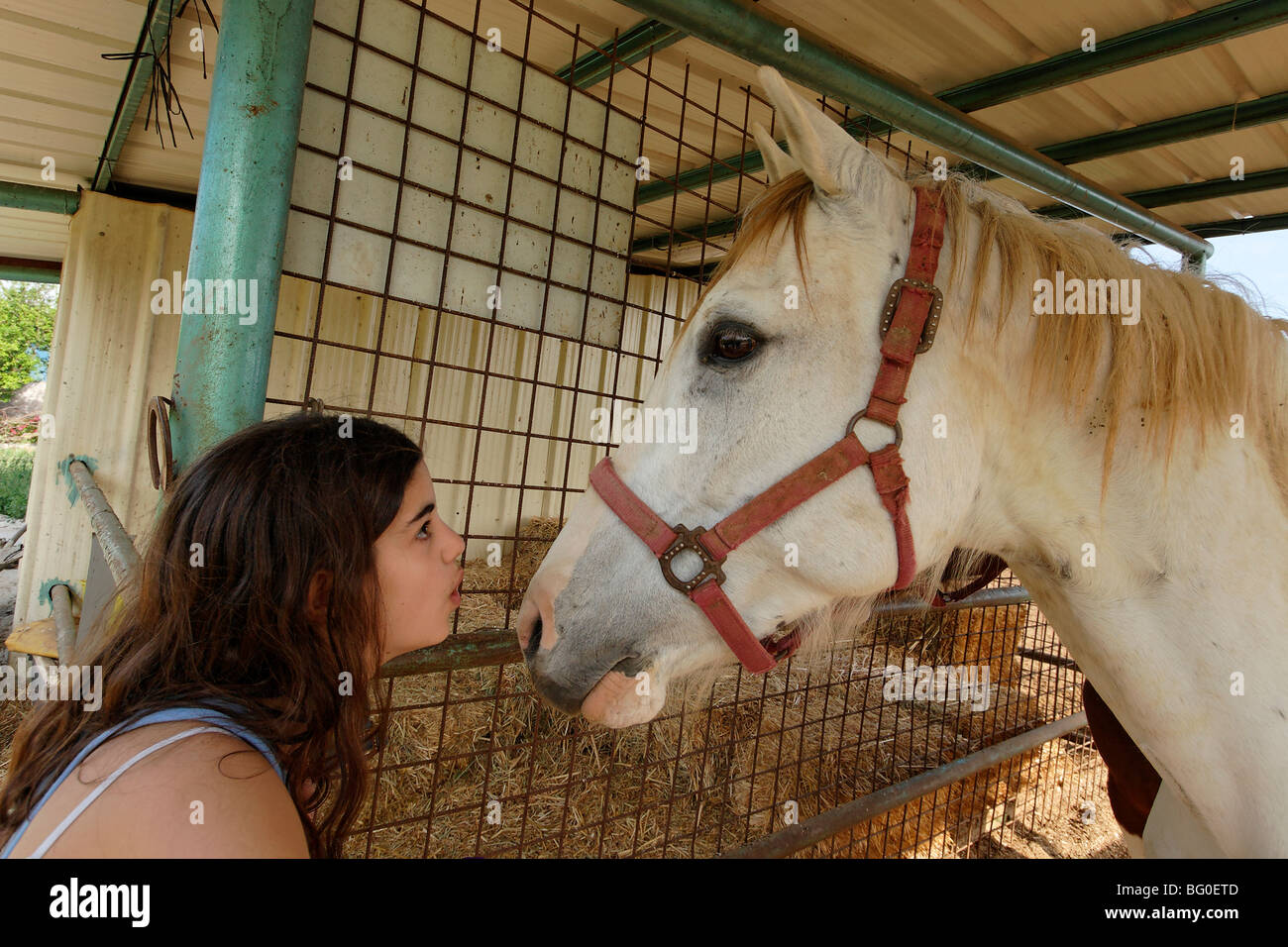 Szold hi-res stock photography and images - Alamy