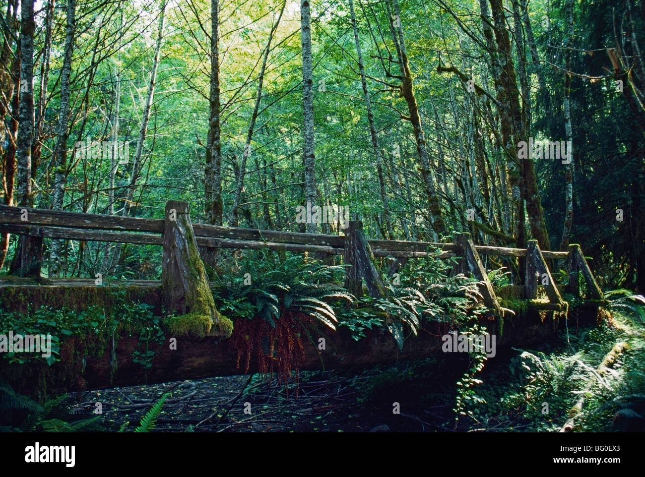 Moss covered bridges hi-res stock photography and images - Alamy