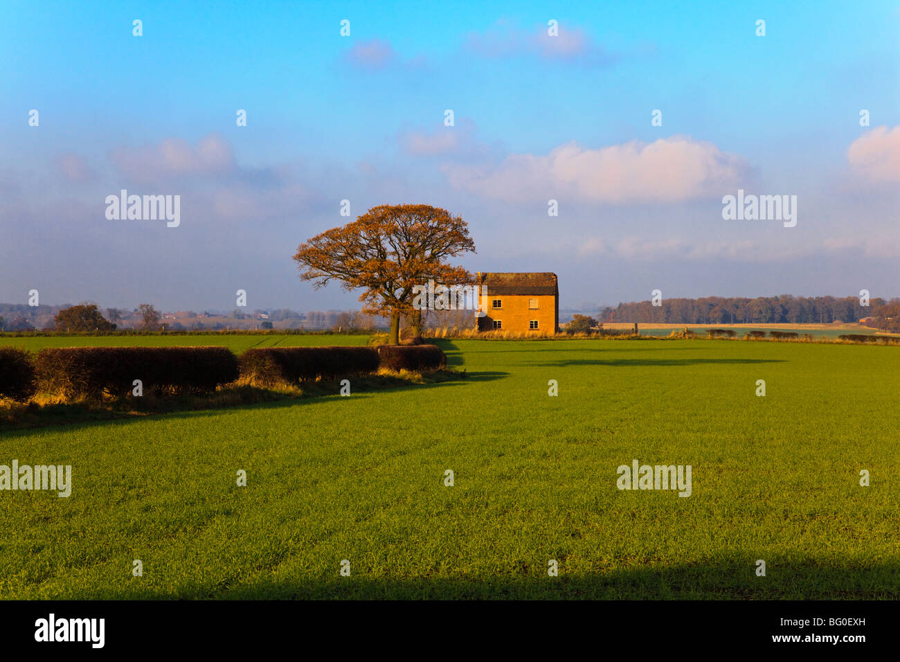 A brick farm building glows in the late afternoon Autumn sun, Sheepy ...