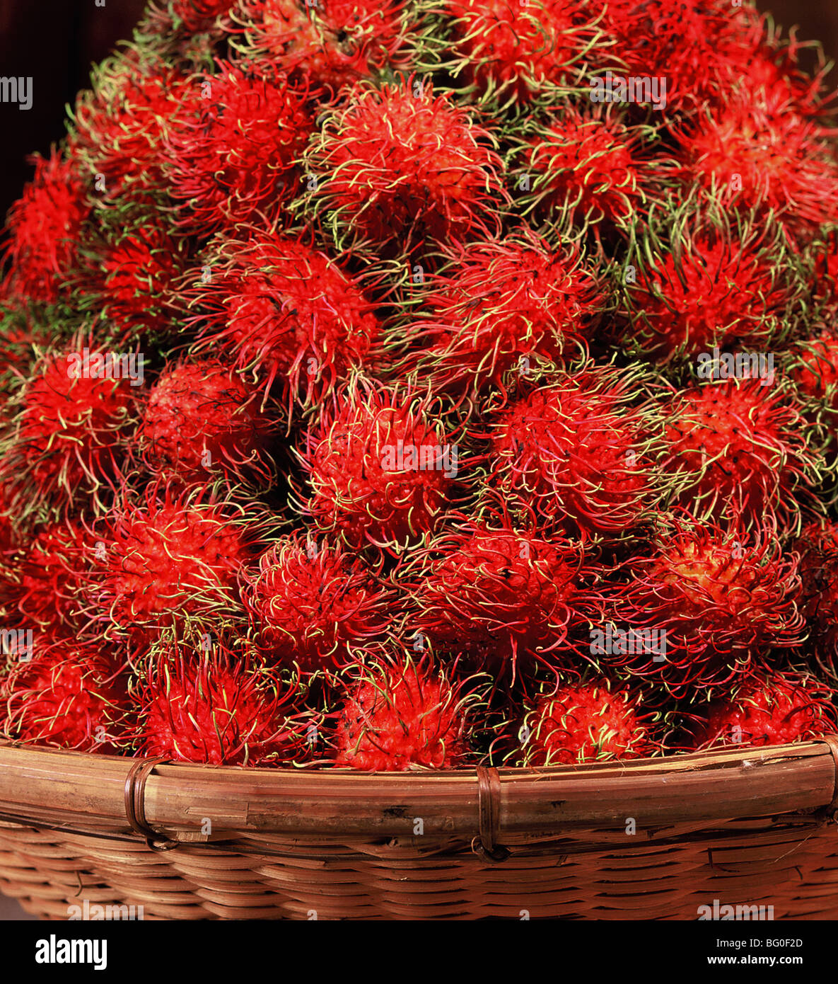 Rambutan hi-res stock photography and images - Alamy