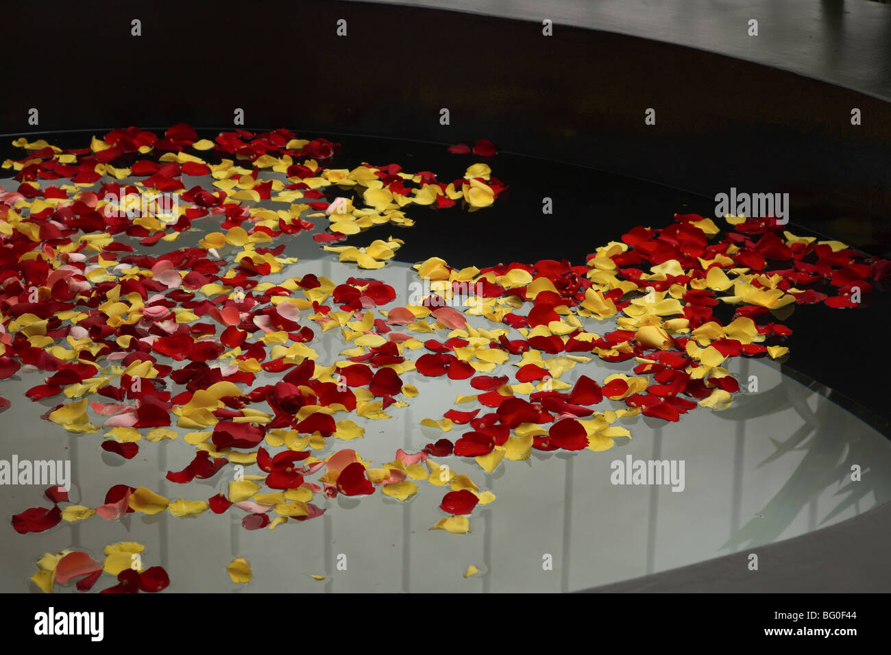 Bath with rose petals Stock Photo - Alamy
