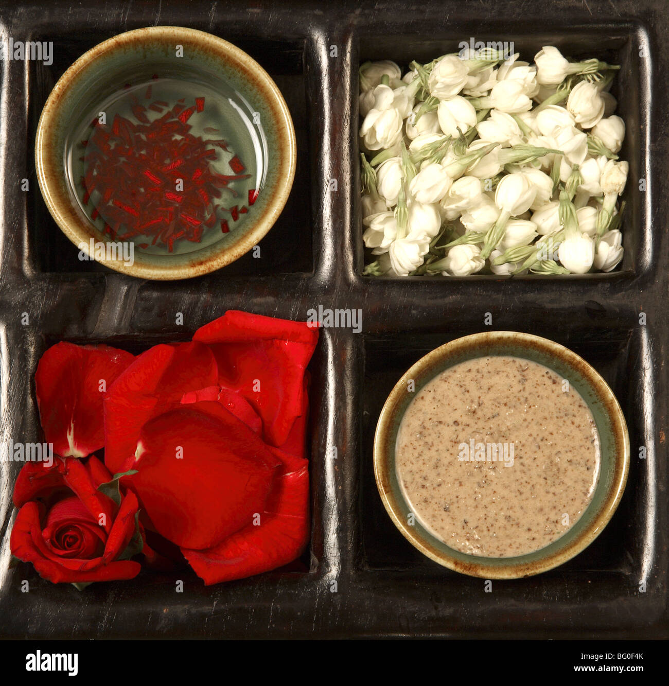 Red rose flowers jasmine hi-res stock photography and images - Alamy