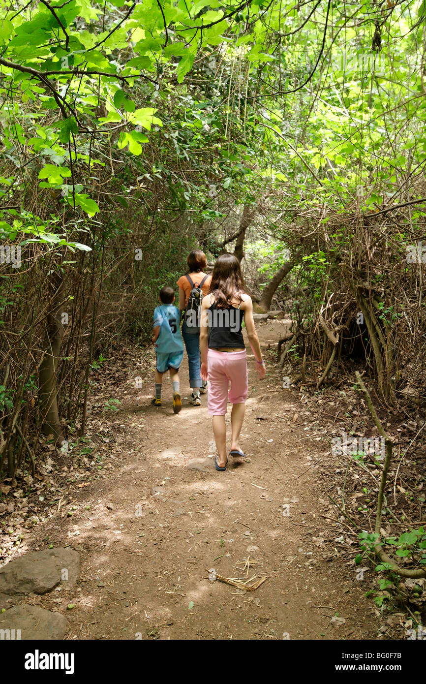 Tel dan nature reserve israel hi-res stock photography and images - Alamy