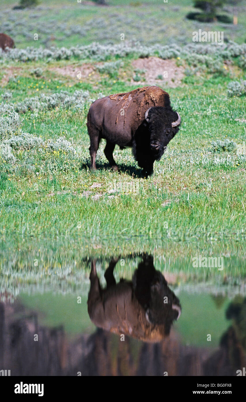 Stream of mirrors hi-res stock photography and images - Alamy