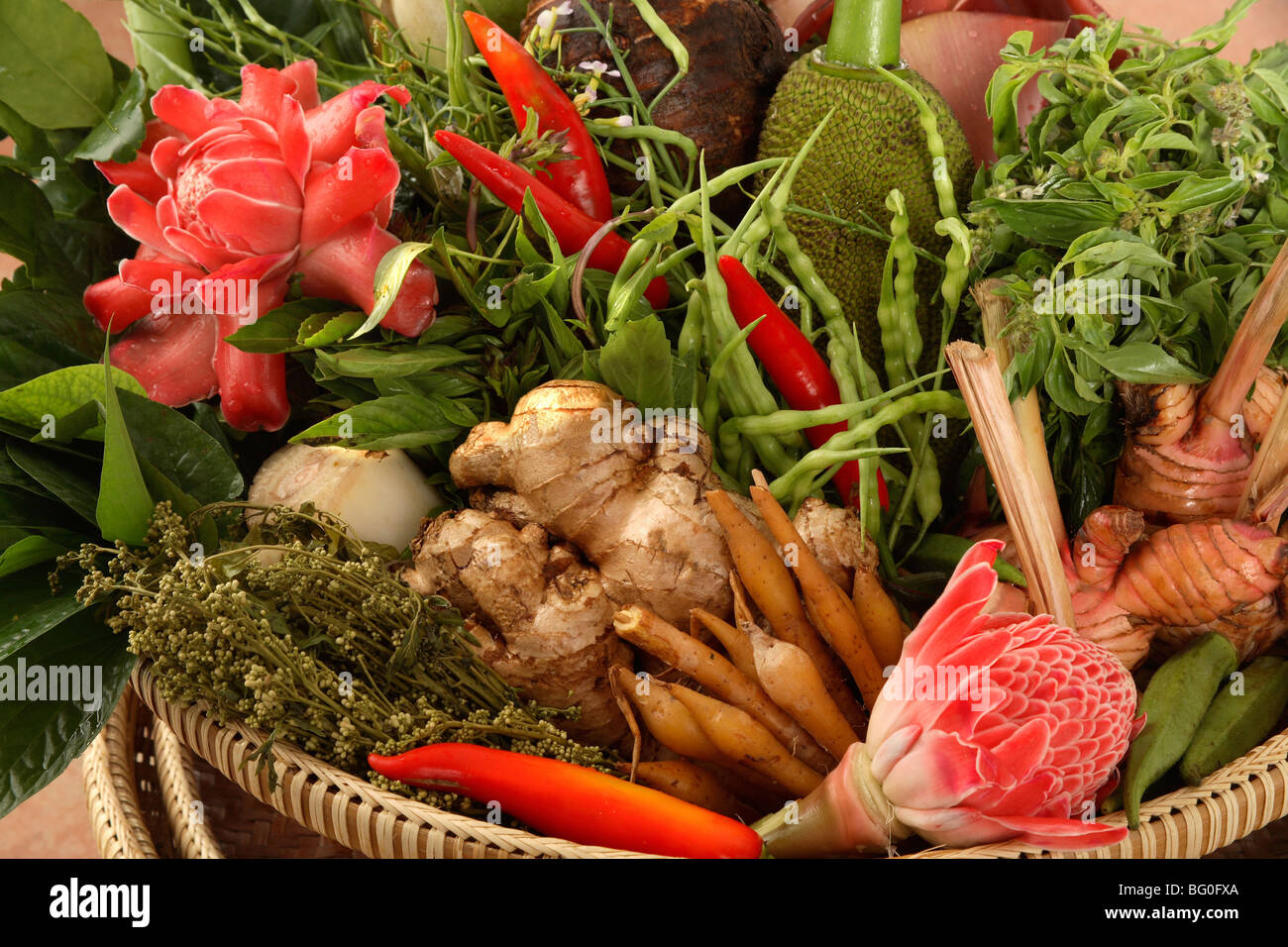 Various Thai spices and herbs, Thailand, Southeast Asia, Asia Stock ...
