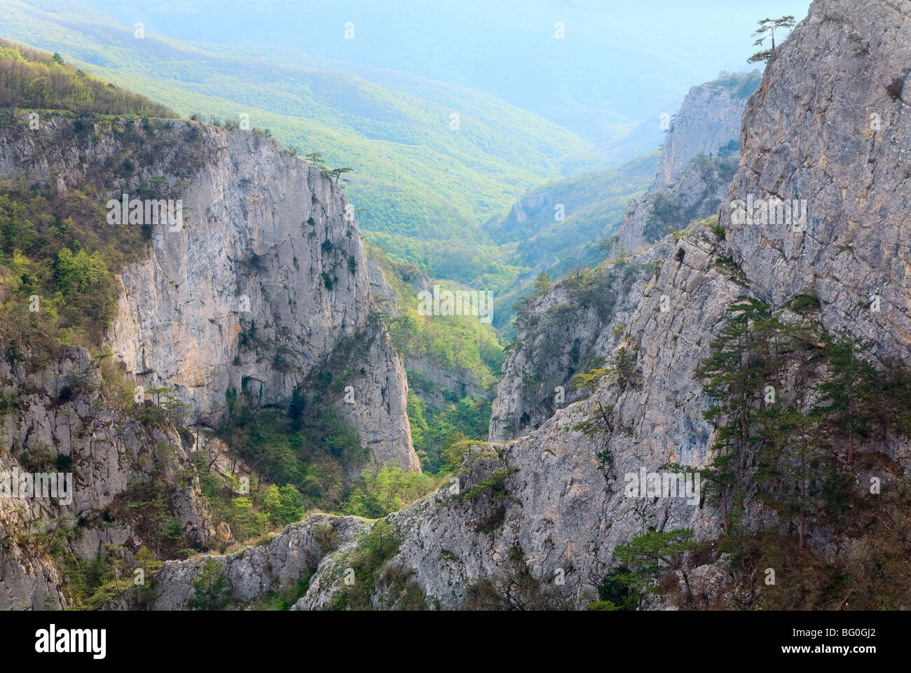 Spring Great Crimean Canyon mountain view with and pine trees on slope ...