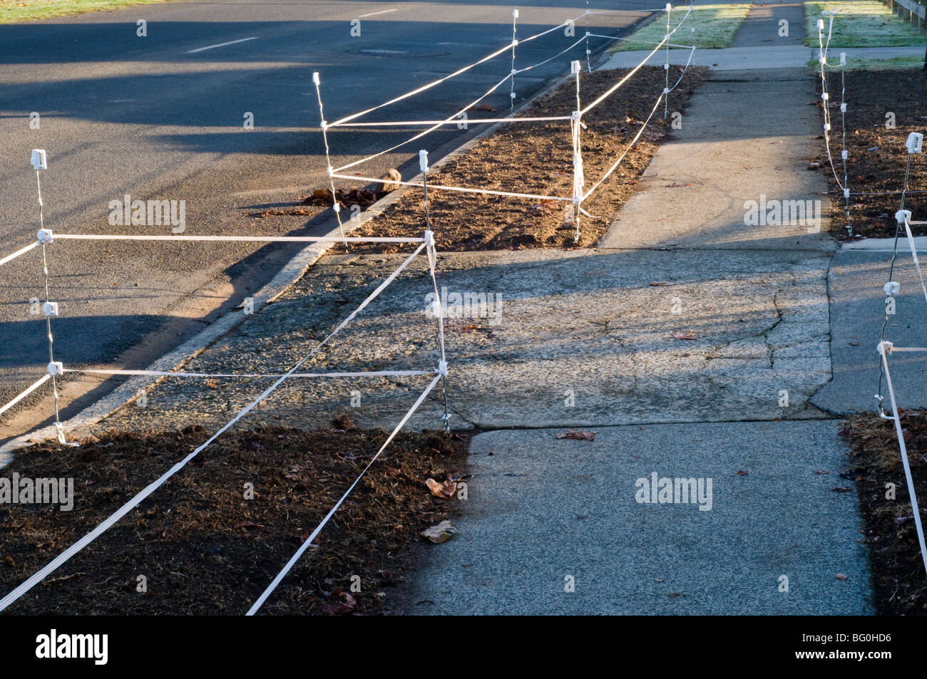 Footpath with grass lawn part being reseeded with barriers, preventing ...