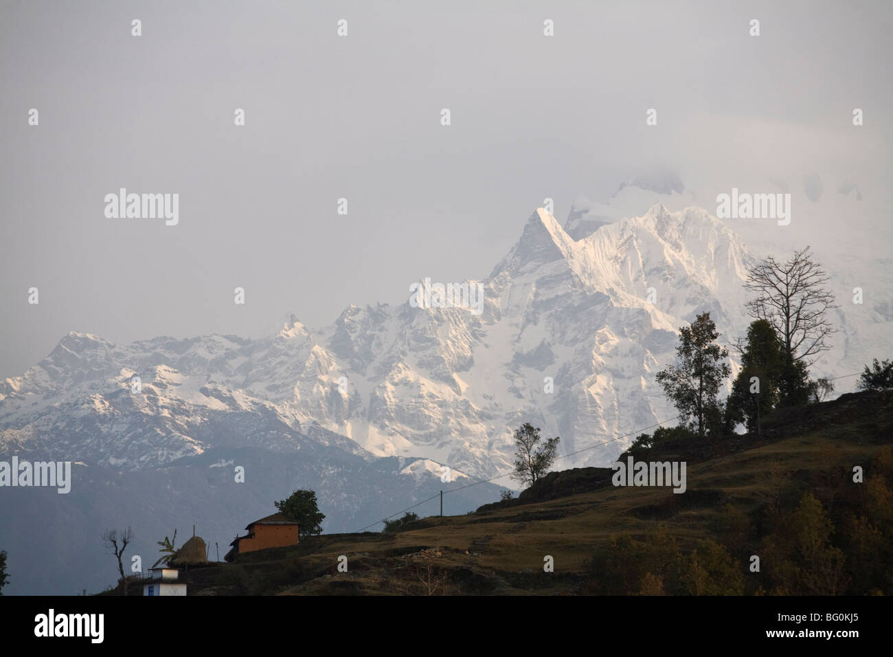 Sikles hi-res stock photography and images - Alamy
