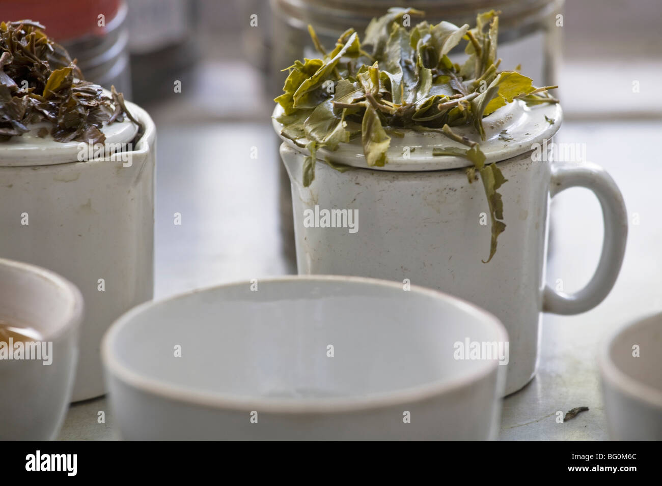Indian tea factory hi-res stock photography and images - Alamy