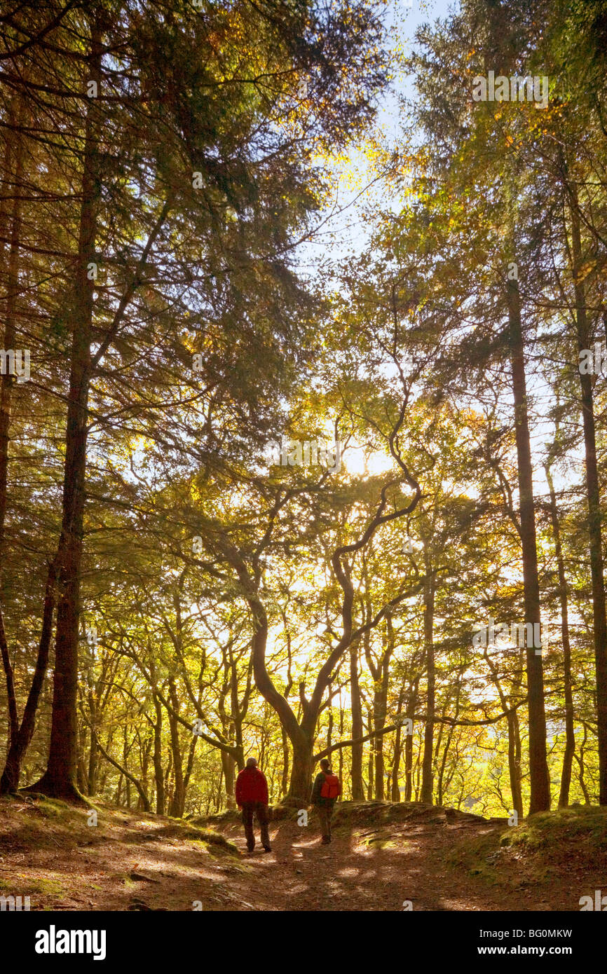 Glen lednock circular hi-res stock photography and images - Alamy