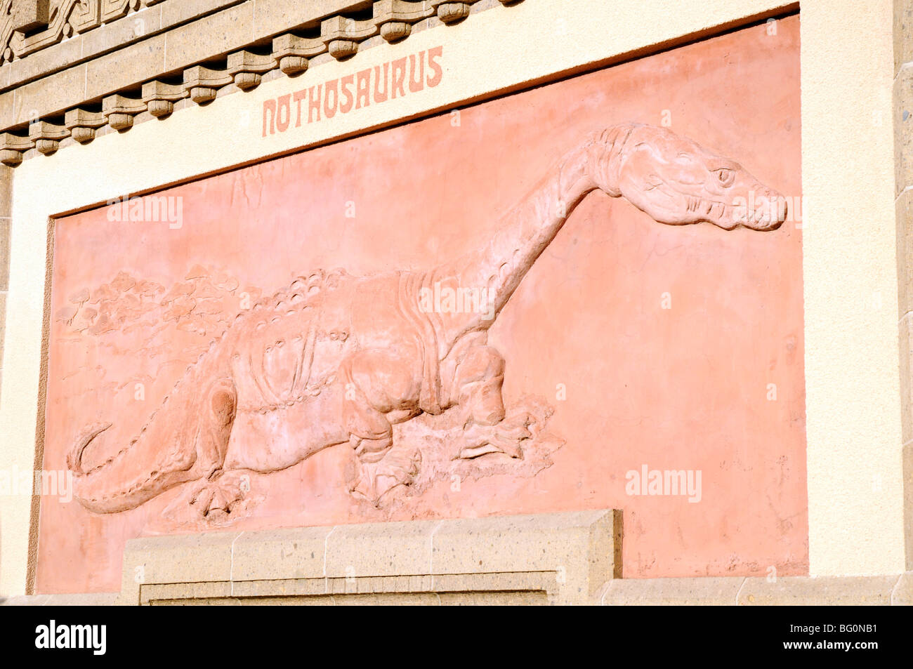 Nothosaurus dinosaur frieze on wall of Berlin Zoo Stock Photo - Alamy