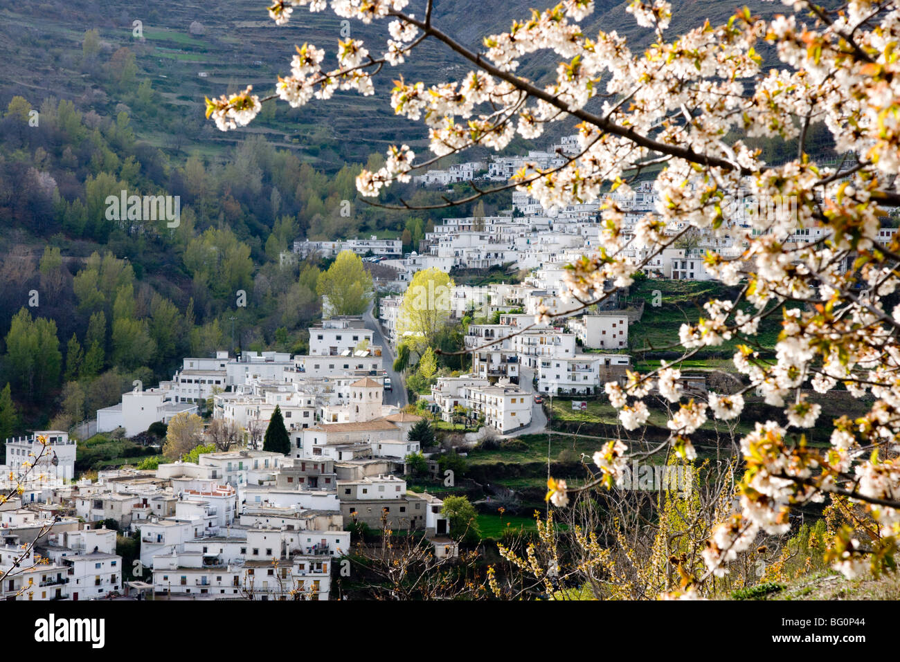 Trevelez in spring, Sierra Nevada, Andalucia, Spain, Europe Stock Photo ...