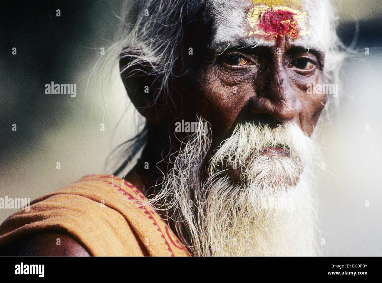 Portrait of Hindu man, Madurai, India Stock Photo - Alamy