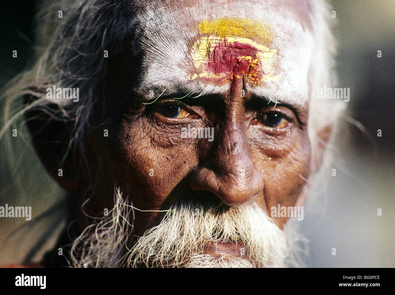 Portrait of Hindu man, Madurai, India Stock Photo - Alamy