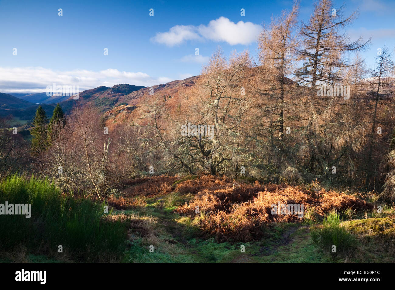 Perth perthshire countryside scotland hi-res stock photography and ...