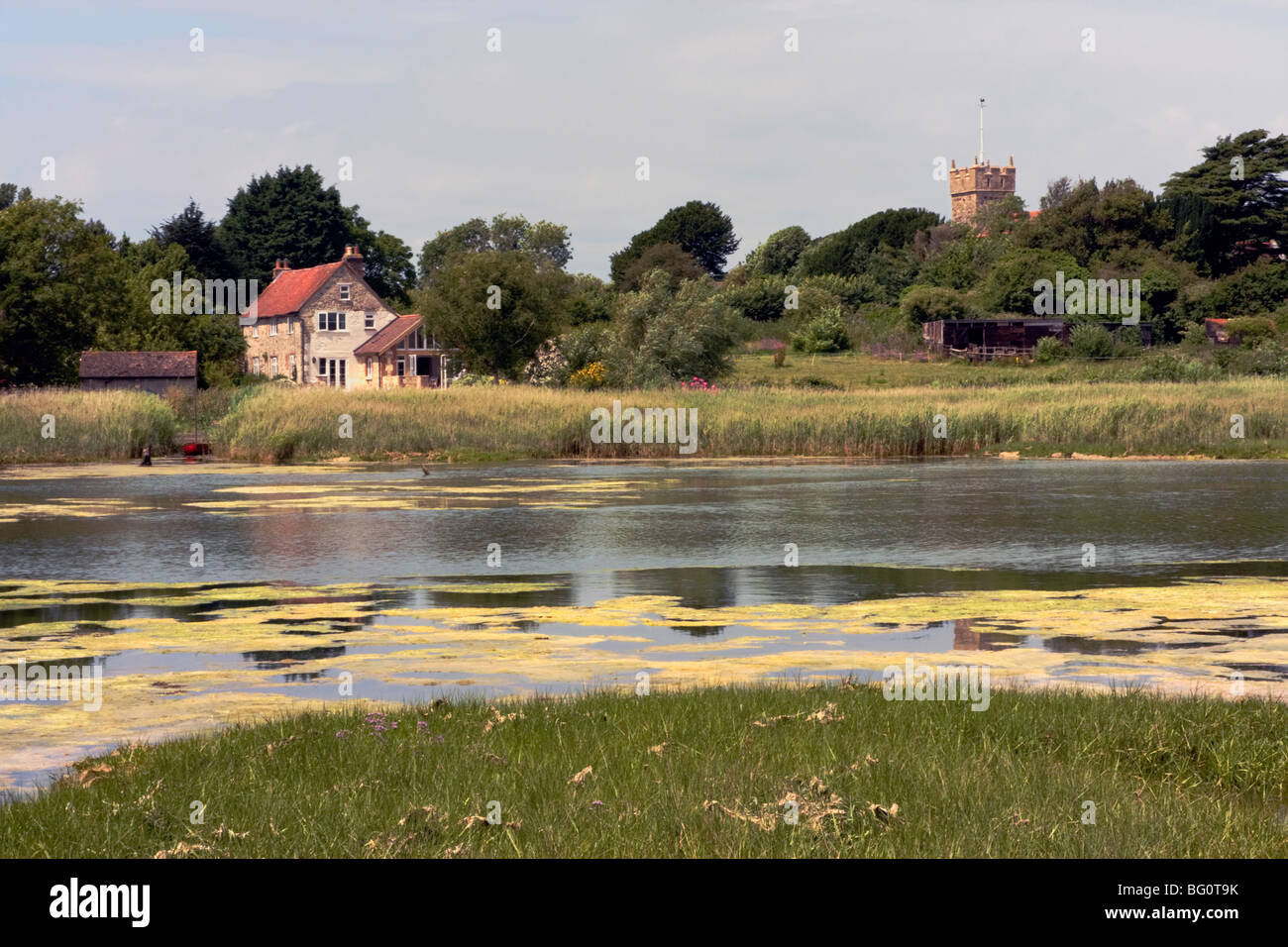 Freshwater rivers hi-res stock photography and images - Alamy