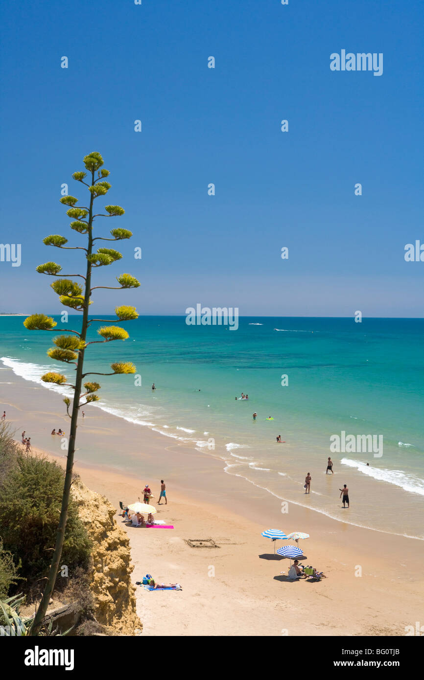 Conil de la Frontera, Costa de la Luz, Andalucia, Spain, Europe Stock ...