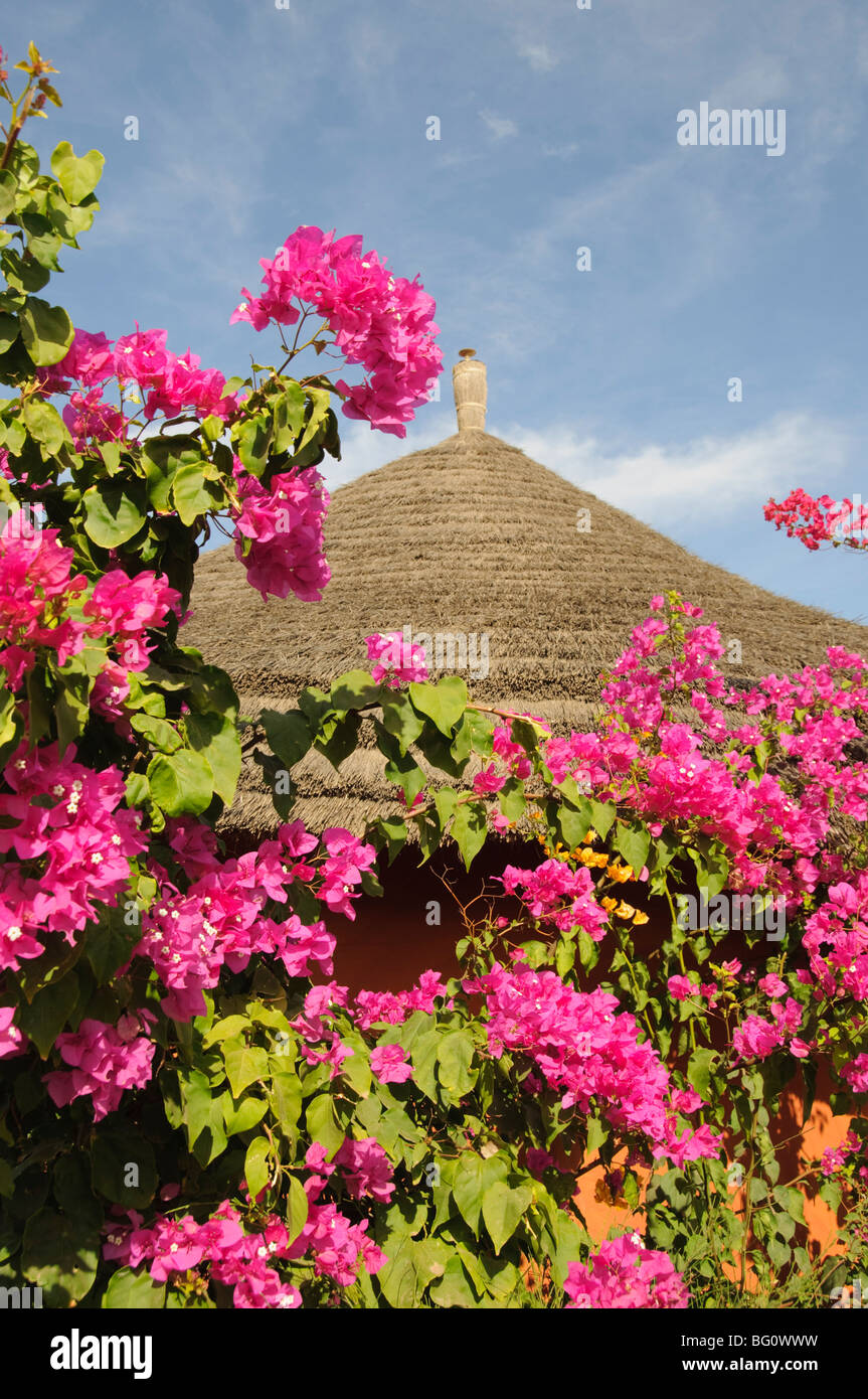 Flowers and hut detail, Sine Saloum Delta, Senegal, West Africa, Africa ...