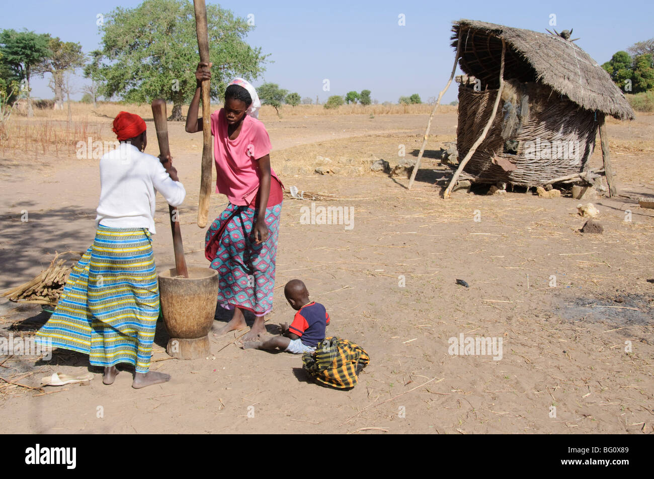 Pounding millet, Serer (Serere) Tribal Village, Senegal, West Africa ...